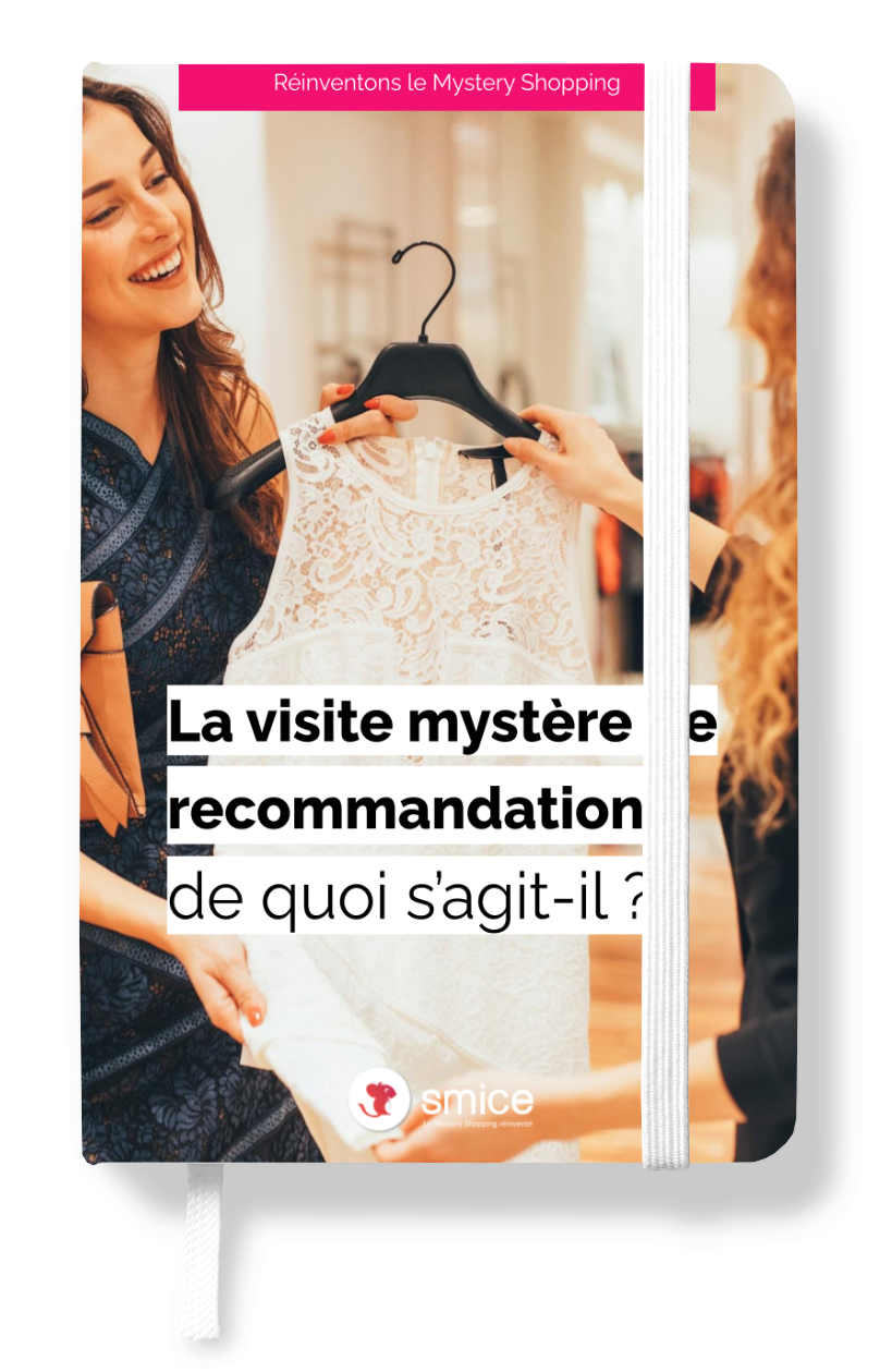 Ebook Recommandation - Smice